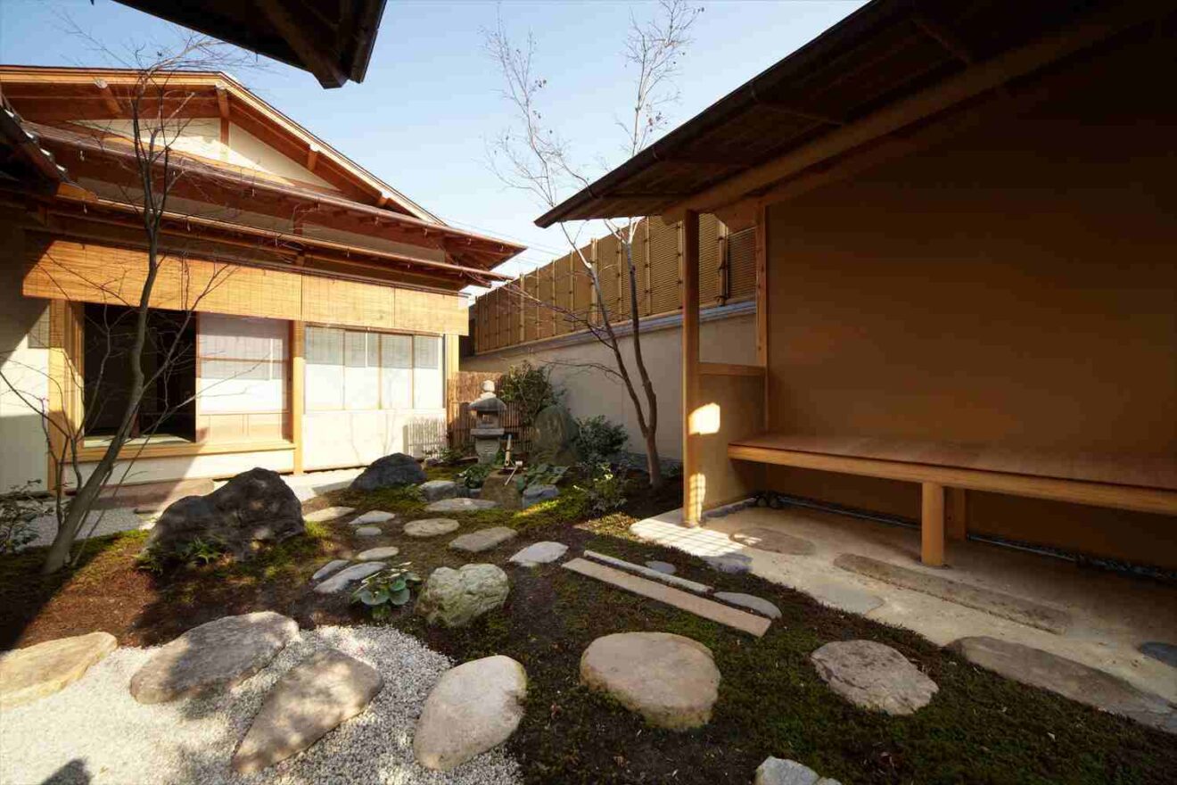 Daisugi: Technique to Produce Wood without Cutting Down Trees
